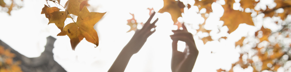 A Walk Through Seasons | Arapahoe Libraries