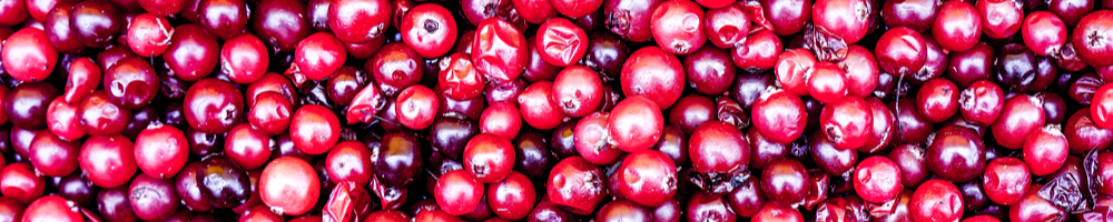 11 Cranberry Facts | Arapahoe Libraries