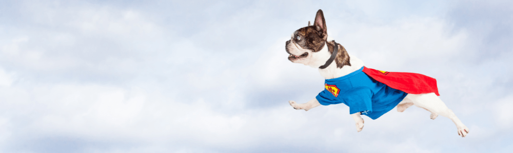 DC Comics Playlist: What Would the Characters Listen To? | Arapahoe ...