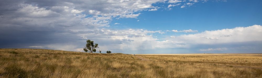 Road Tripping: Dearfield, Colorado | Arapahoe Libraries