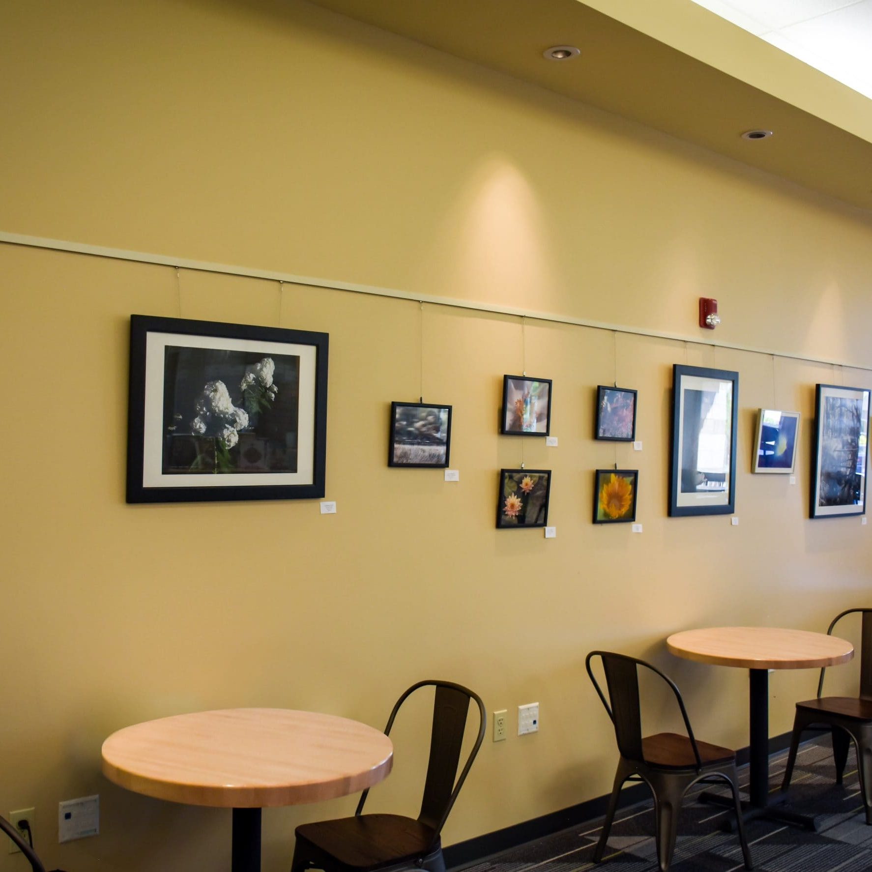 Art Galleries | Arapahoe Libraries